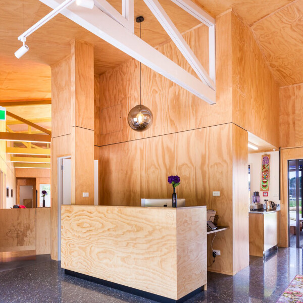 Chilean Pine - Plymasters