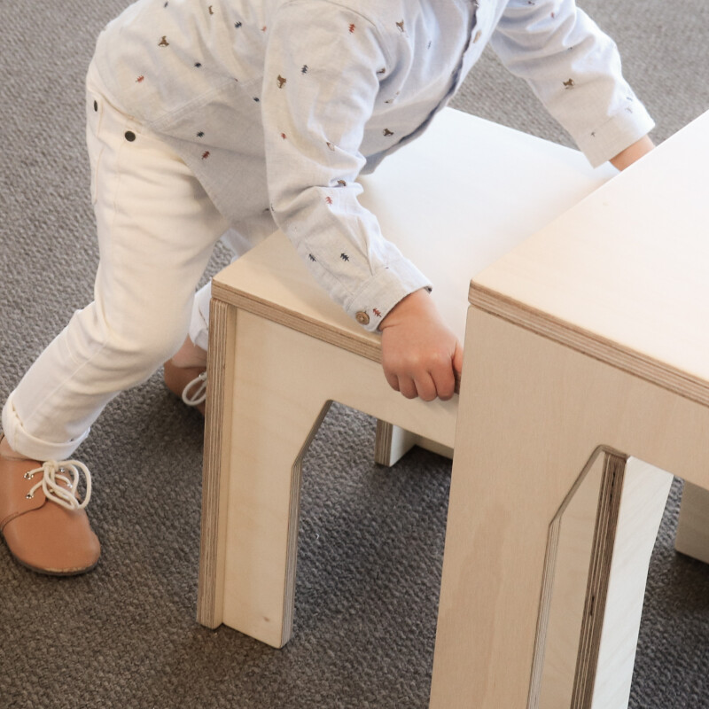 Euro Birch Multiply - Plymasters