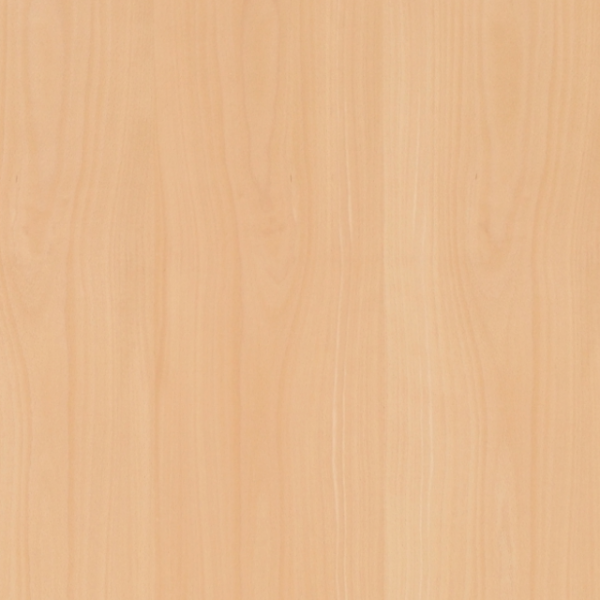 Steamed European Beech - Plymasters