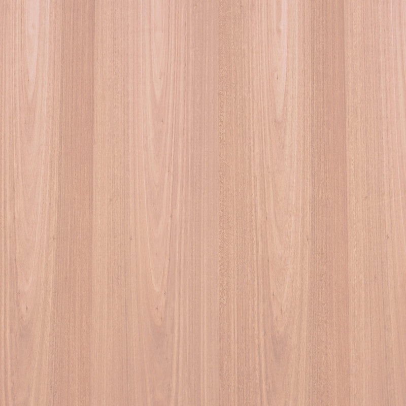 Classique Eucalyptus - Plymasters