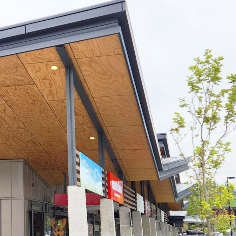 LOSP Treated NZ Pine - Plymasters