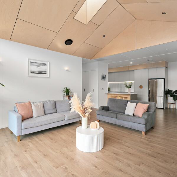 Euro Birch Multiply - Plymasters