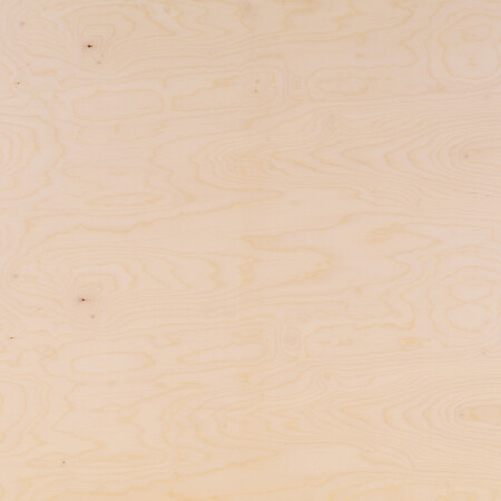 Euro Birch Multiply - Plymasters