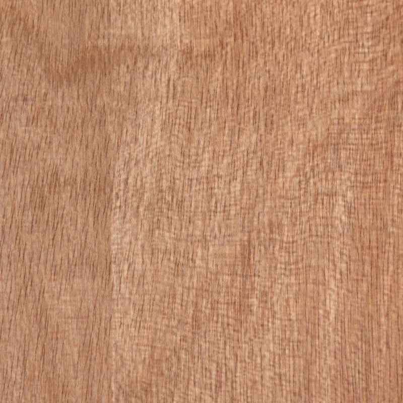 Rapidline Pacific Maple - Plymasters