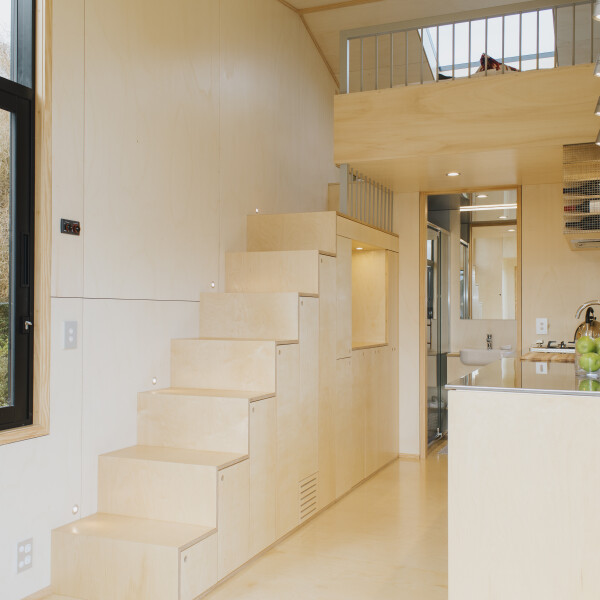 Euro Poplar - Plymasters