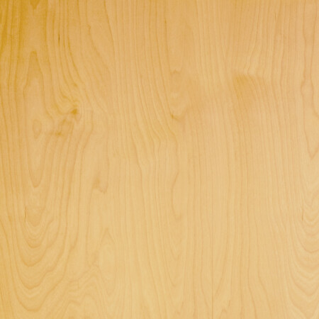 Rapidline Birch - Plymasters